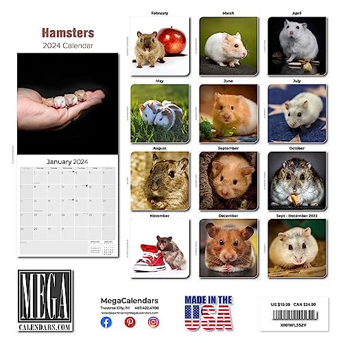 Snapklik.com : 2023 2024 Hamsters Calendar - Cute Animal Monthly Wall ...