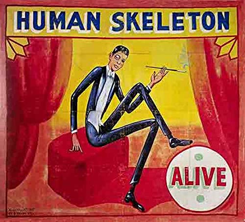 Amazon.com: Human Skeleton Alive Freakshow Banner : Home & Kitchen