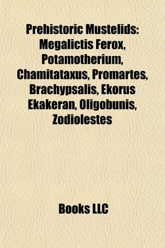 Prehistoric Mustelids: Megalictis Ferox, Potamotherium, Chamitataxus ...