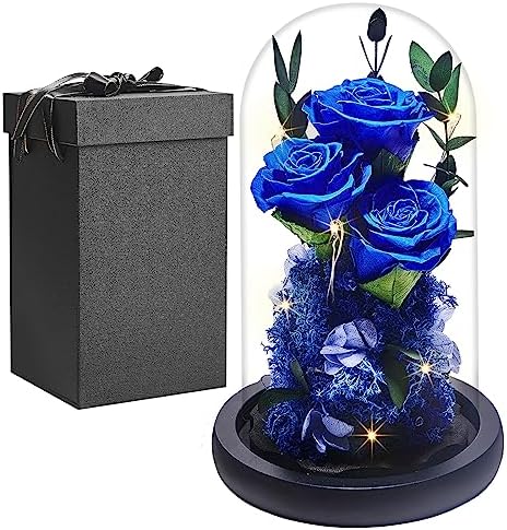 Real Rosa Eterna en Cúpula de Cristal, Mujer Regalo Cumpleaños, La ...