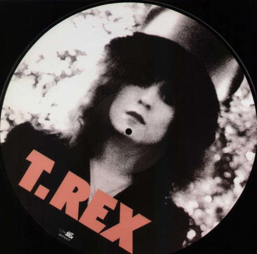 T-Rex - The Slider [Vinyl] - Amazon.com Music