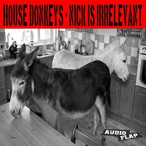 Play Nick Is Irrelevant by House Donkeys on Amazon Music