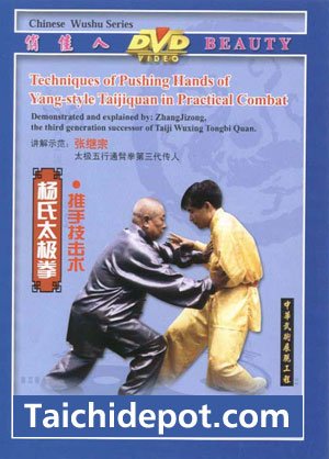 Tai Chi Push Hand: Techniques of Push Hands of Yang Tai Chi in ...