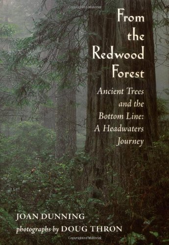 From the Redwood Forest : Ancient Trees and the Bottom Line: A ...