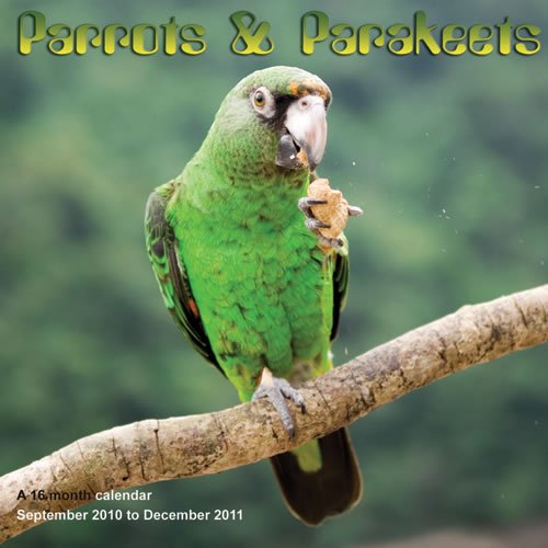 Parrots and Parakeets 2011 Calendar MGANM13: Magnum: 9781602547711 ...