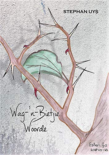 Wag-'n-Bietjie Woorde (Afrikaans Edition) - Kindle edition by Uys ...