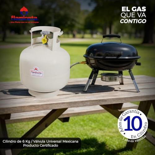 Pictel Para Gas - Ferreteria Y Herramientas