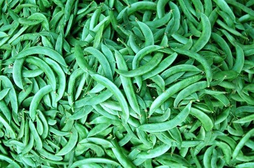 Creative Farmer Vegetable Seeds Sem Seeds - Dolichos Beans Seeds Rare ...