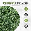 Amazon.com - Faux Boxwood Balls 2-Pack - Artificial Topiary for ...