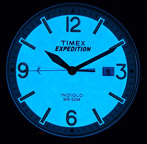 Timex Men's TW4B15000 Expedition Ranger Solar Accent Leather Strap ...