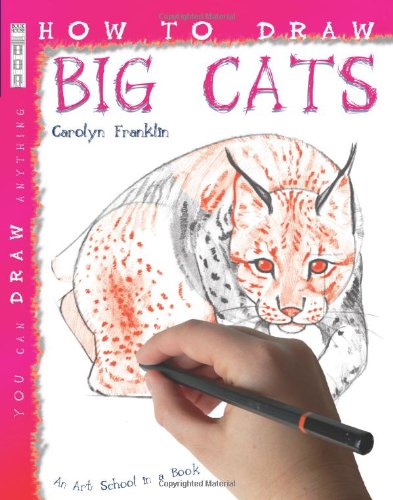 How to Draw Big Cats : Stewart, David, Scrace, Carolyn: Amazon.fr: Livres
