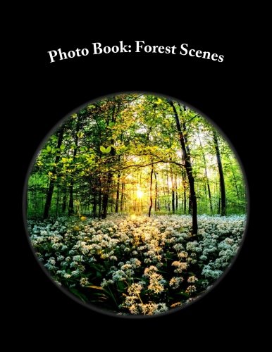 Buy Photo Book: Forest Scenes Book Online at Low Prices in India ...