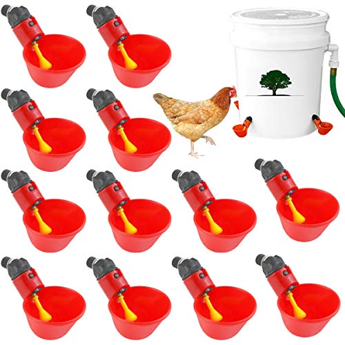 Best Plastic Poultry Waterer 2021 Where to Buy? PoultryTalk.com