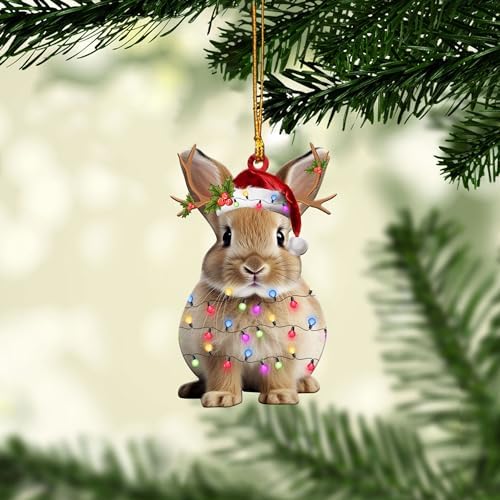 Amazon.com: Conversation Concepts Rabbit Black & White Gift Box Red ...