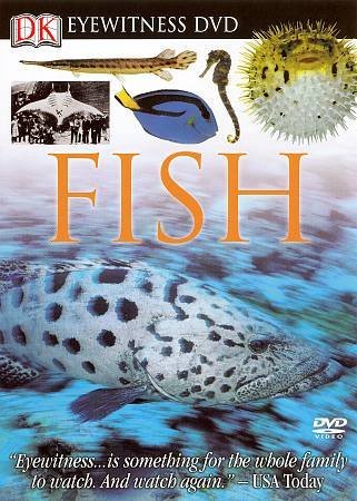 Amazon.com: Eyewitness: Fish : Movies & TV