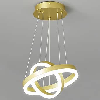 zhllmq Modern Led Chandelier Lighting 2 Rings Gold Chandelier ...