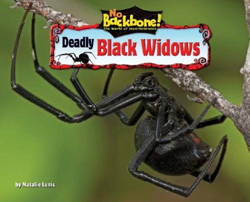 Amazon.com: Deadly Black Widows - Non-Fiction Reading for Grade 2 ...