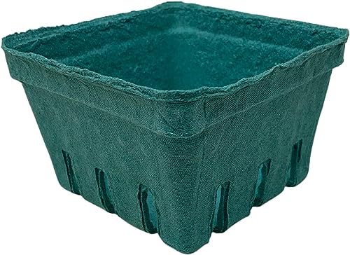 Paper Pulp Boxes – The 16 best products compared - Alternative Families