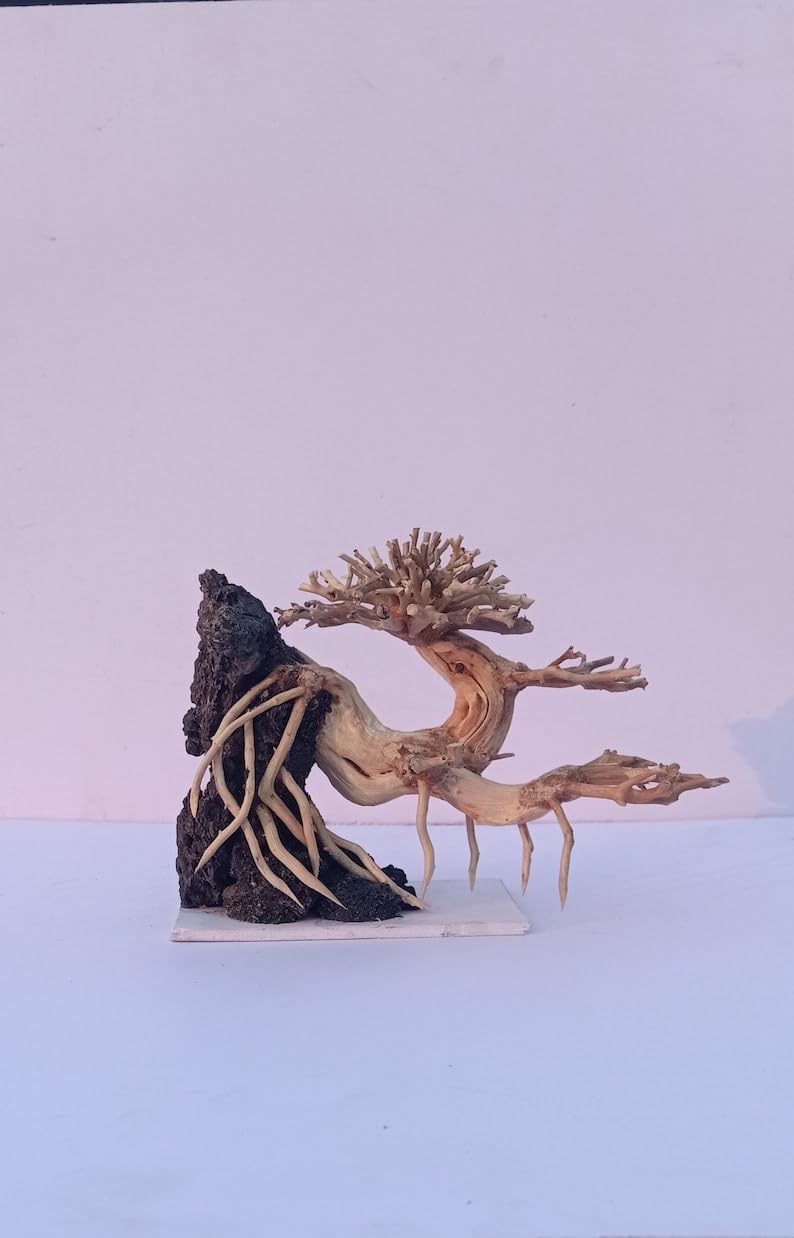 Amazon.com: Rock Hugging Bonsai, Old Tree Aquarium, Natural Decoration ...