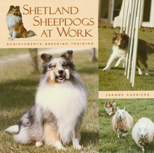 Shetland Sheepdogs at Work: Achievements, Breeding, Training: Carriera ...