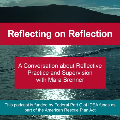 Amazon.com: Reflecting on Reflection: A Conversation about Reflective ...
