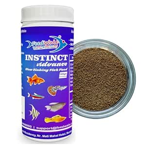 FeedWale Instinct Advance 300gm Slow Sinking Fish Food for Small ...
