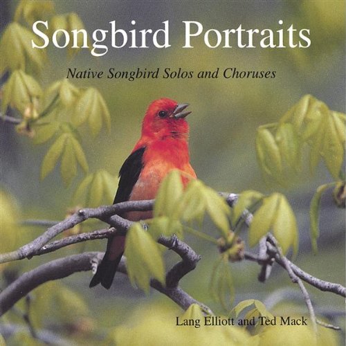 Songbird Portraits: Native Songbird Solos & Chorus - Amazon.com Music