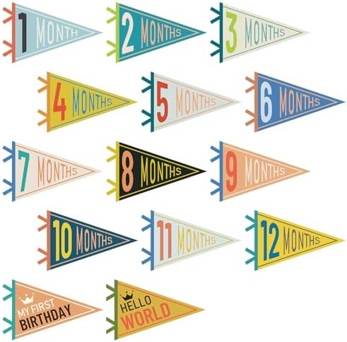 Amazon.com: VitalCozy 14 Pcs Baby Milestone Pennant Signs Monthly ...