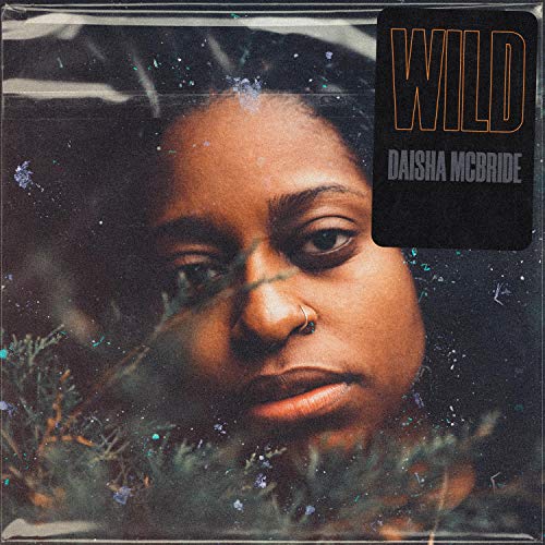 Amazon.com: Wild [Explicit] : Daisha McBride: Digital Music
