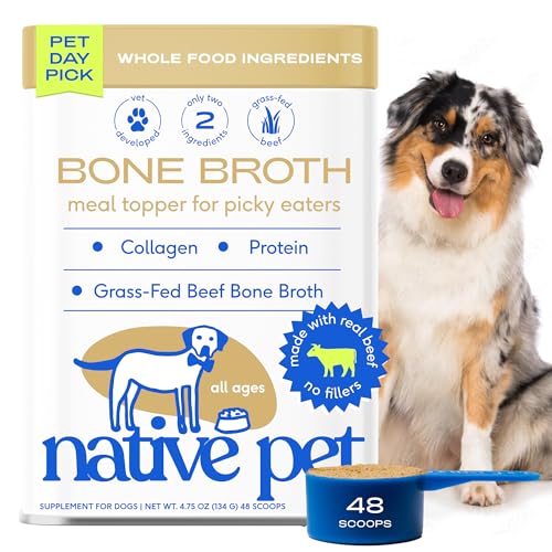 Dog Hydration – The 15 best products compared - Wild Explained