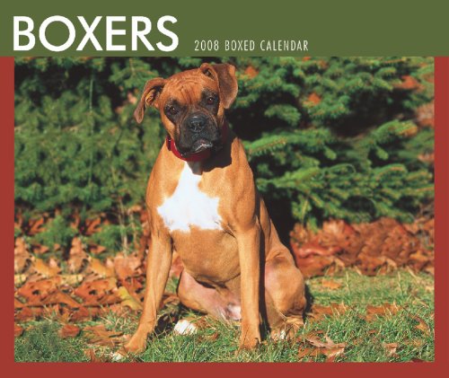 Amazon.com: Boxers 2008 Boxed Calendar (German, French, Spanish and ...