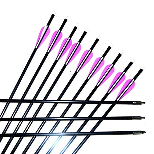 Buy WorldCare® Glass Arrows 28'' Target Pract Arrows Out Diameter 8mm ...