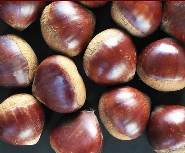 Amazon.co.jp: 【栗の王様】萩のがんね栗（2L～3L）1kg【クール便】【山口県】【萩市田万川・須佐】【岸根栗】【生栗】 : 食品・飲料・お酒