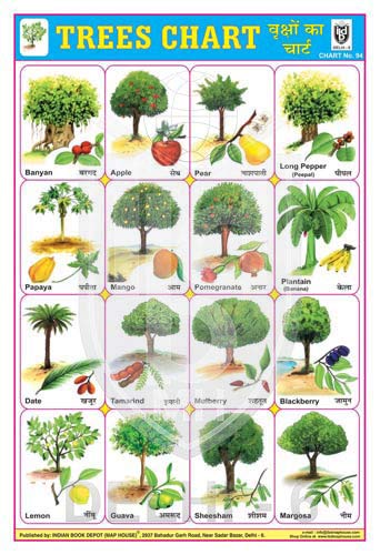 TREES CHART: by INDIAN BOOK DEPOT (MAP HOUSE): Amazon.com: Books