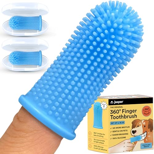 best toothbrush for dogs - Pixelfy blog