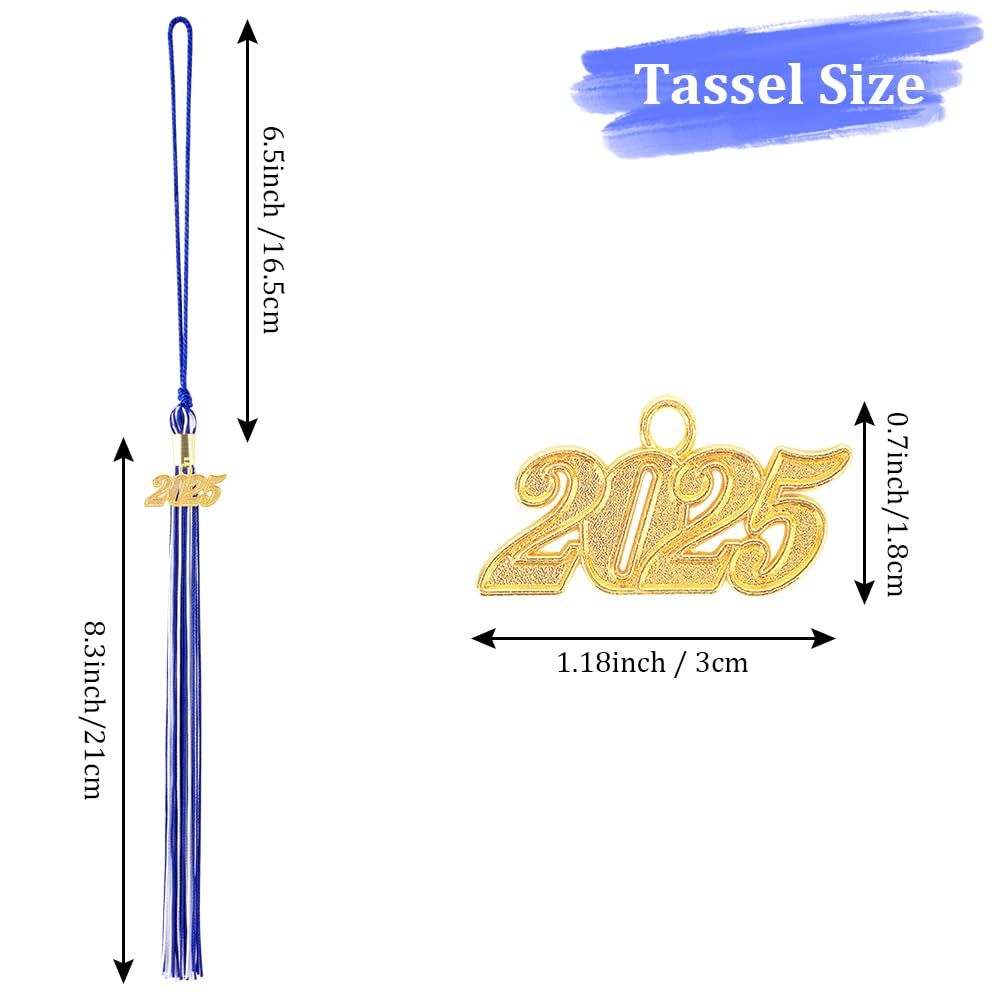 2025 Grad Cap Tassels 2025 Graduation Tassel - Black Cap Tassel With ...
