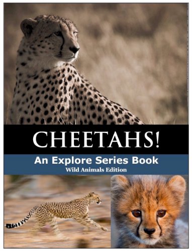 Cheetahs!: Fun Facts & Amazing Pictures: An Explore Series Book (Wild ...