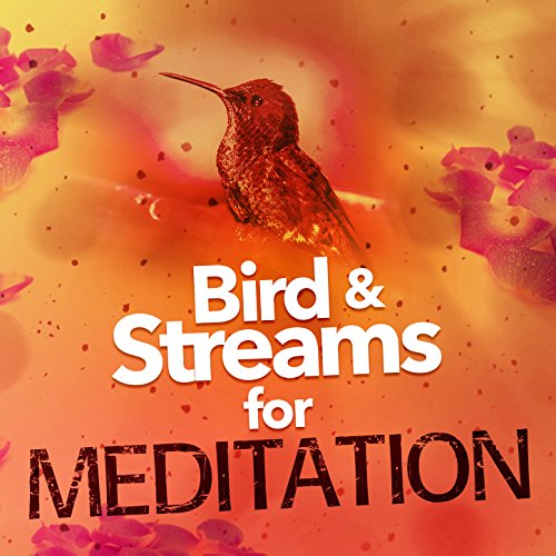 Amazon.com: Birds & Streams for Meditation : Mediation Sounds of Nature ...