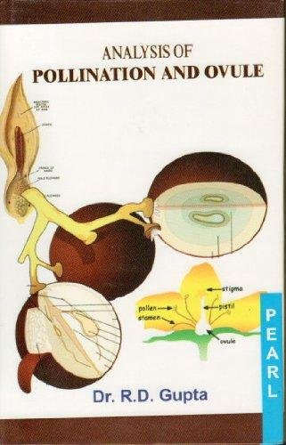A Simplified Approach to Java Programming PTU: Bansal Nitin, Ajit Kumar ...