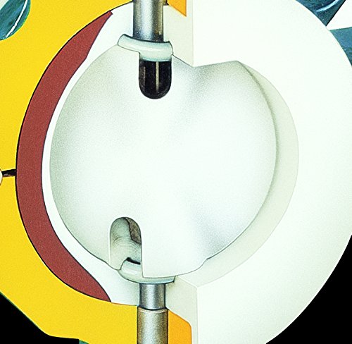 Garlock VAL01-10127H GAR-Seal Butterfly Valve, 2", 150# Series 111 ...