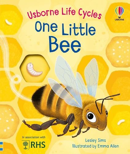 One Little Bee (Life Cycles): Amazon.co.uk: Sims, Lesley, Allen, Peep ...