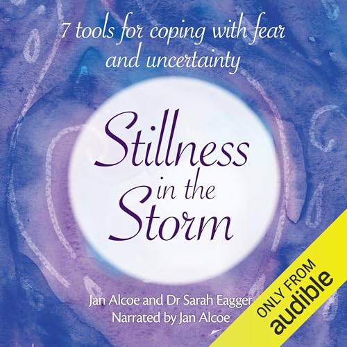 Amazon.com: Stillness in the Storm: 7 tools for coping with fear and ...
