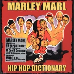 Amazon.com: Hip Hop Dictionary: CDs & Vinyl