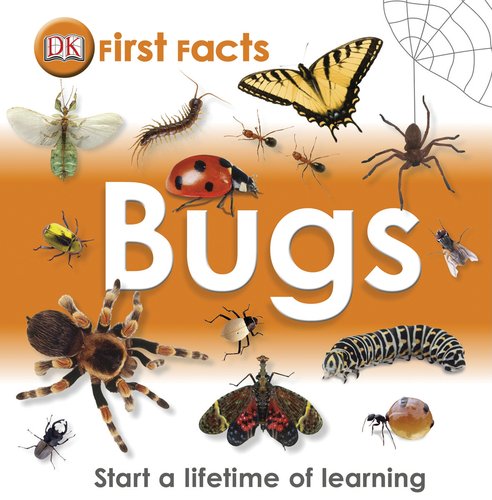 Bugs (First Facts): DK Publishing: 9780756682217: Amazon.com: Books