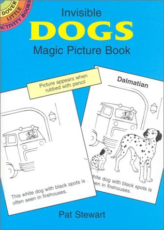 Invisible Dogs Magic Picture Book: Stewart, Pat: 0800759418480: Amazon ...
