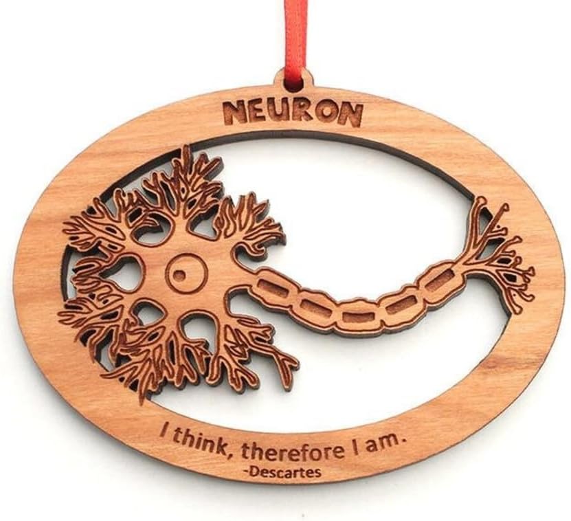 Amazon.com: Neuron Ornament, Microbiology Blown-up Neuron Ornament ...
