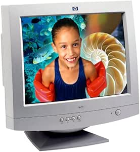 Amazon.com: HP 91 19" Flat Screen Monitor : Electronics