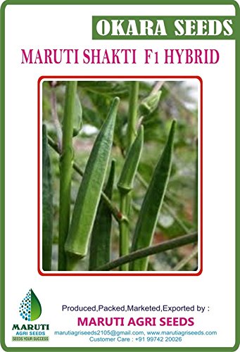 MARUTI AGRI SEEDS Okra Seeds Maruti - Shakti 7 F1 Hybrid 200 GR ...