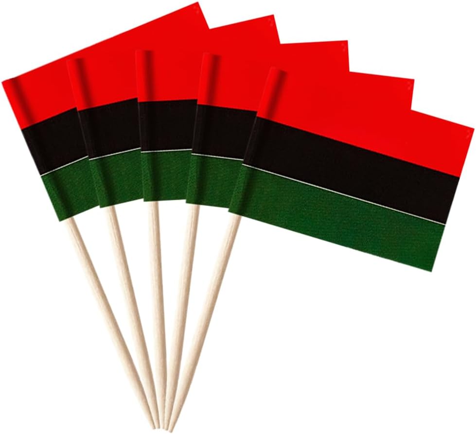Amazon.com | stidsds 100 Pcs Afro American Flag Pan African Toothpick ...