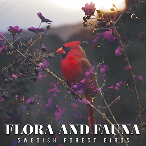 Play Flora and Fauna by Swedish Forest Birds on Amazon Music Unlimited